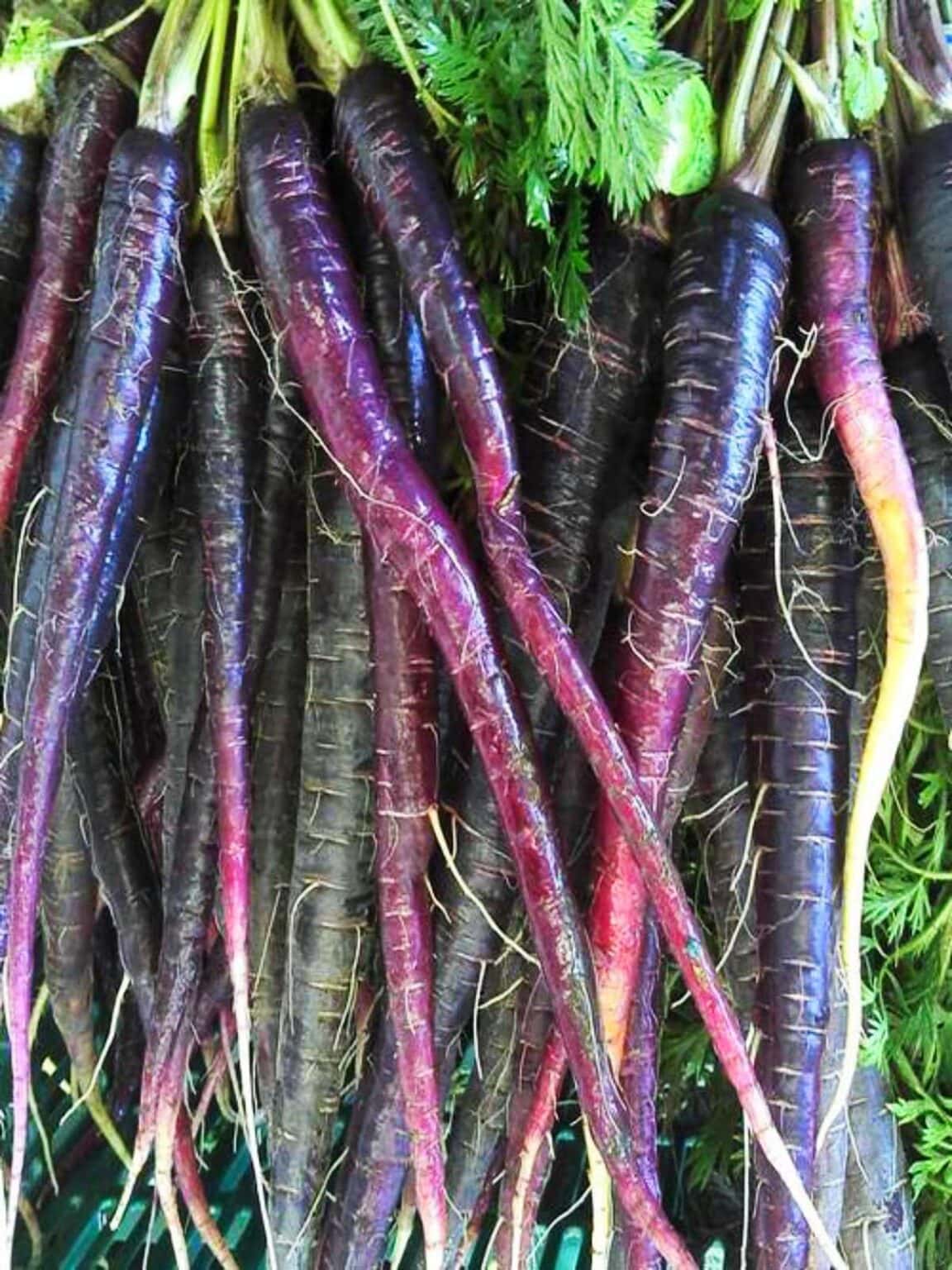 45 Types of Carrots | A-to-Z | Photos - Butter N Thyme