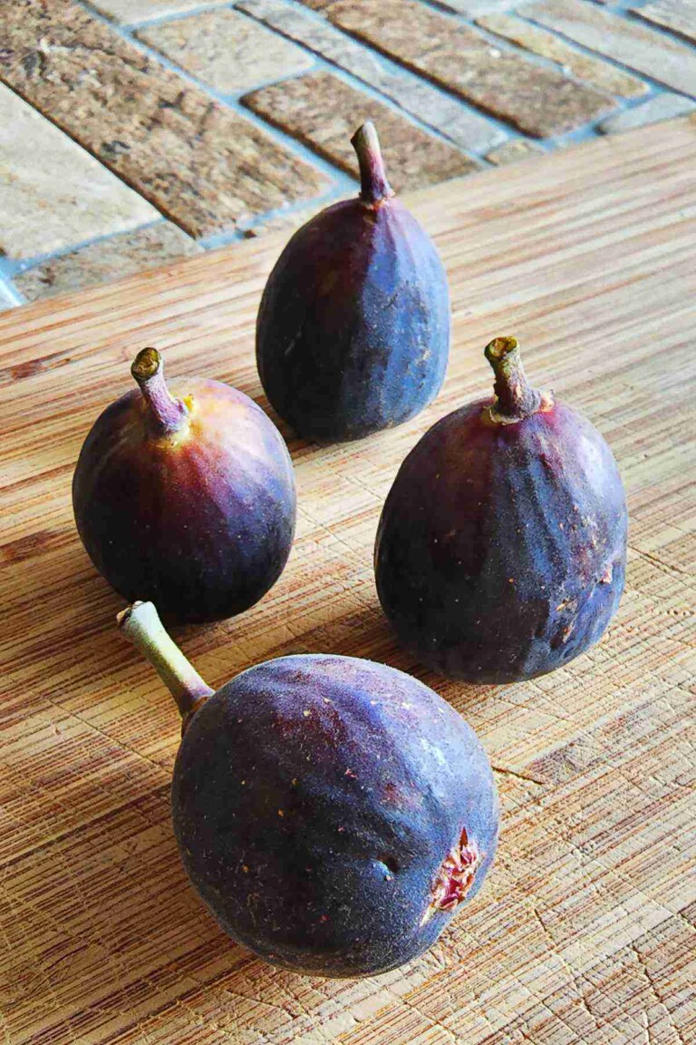 When Are Figs in Season? (How to Pick, Ripen, and Enjoy Fresh Figs at ...