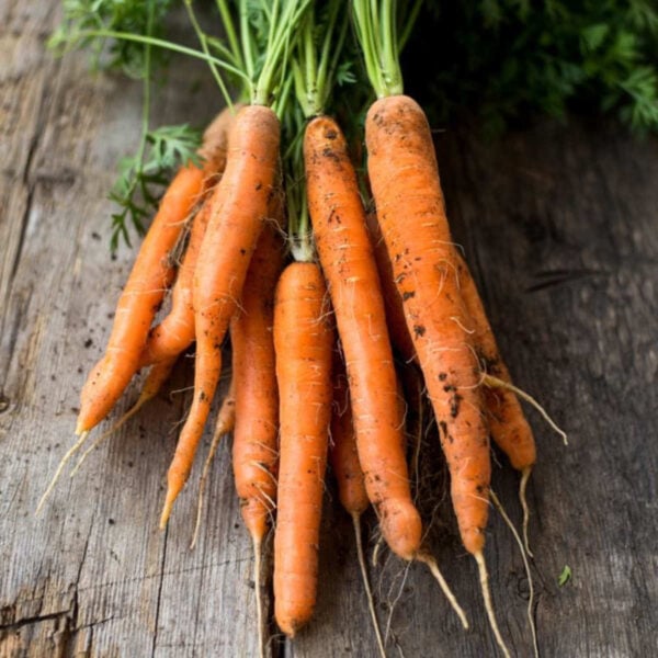 45 Types of Carrots | A-to-Z | Photos - Butter N Thyme