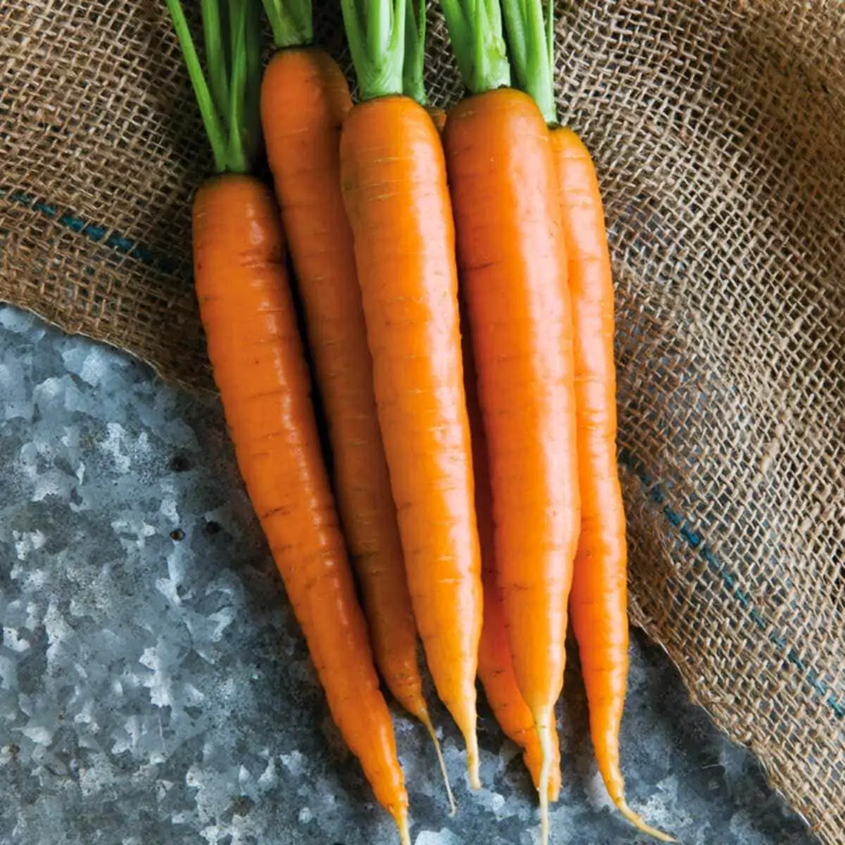 45 Types of Carrots | A-to-Z | Photos - Butter N Thyme