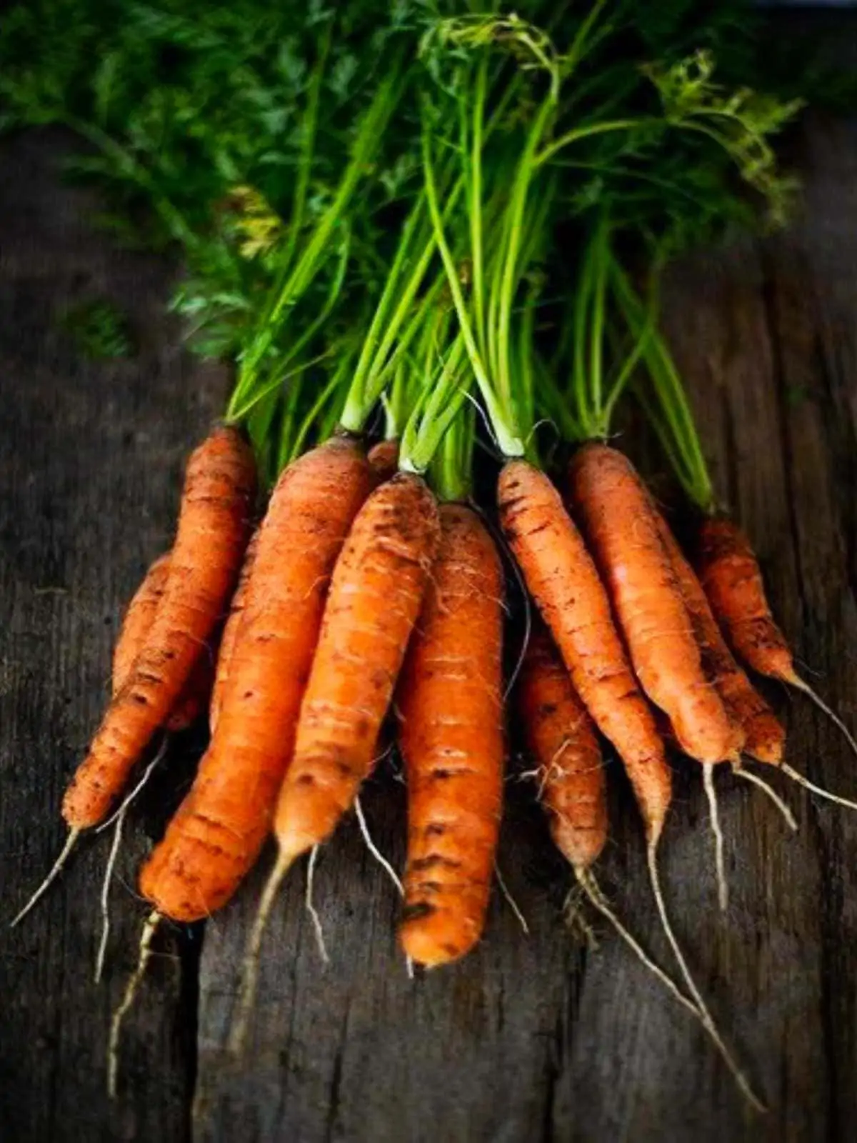 45 Types of Carrots | A-to-Z | Photos - Butter N Thyme