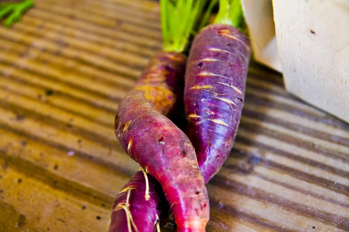 45 Types of Carrots | A-to-Z | Photos - Butter N Thyme