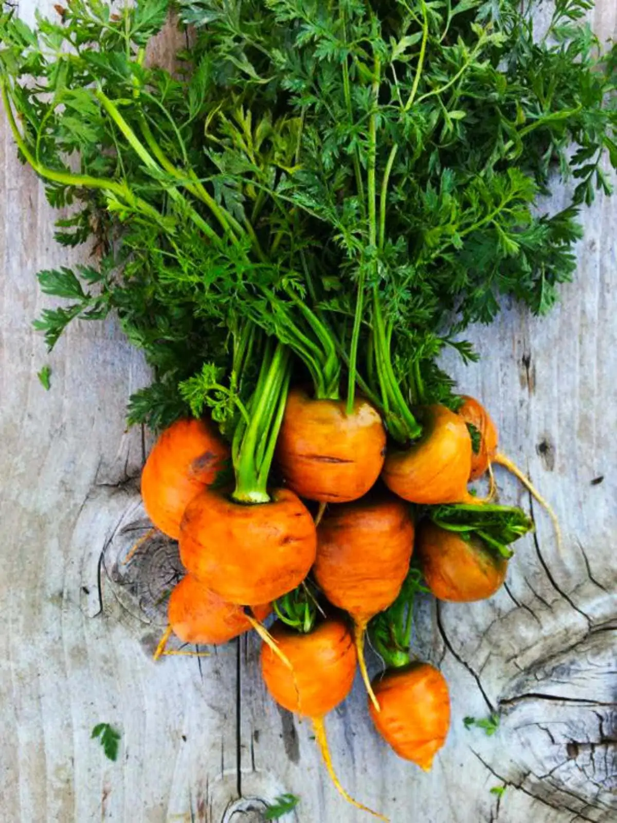 45 Types of Carrots | A-to-Z | Photos - Butter N Thyme