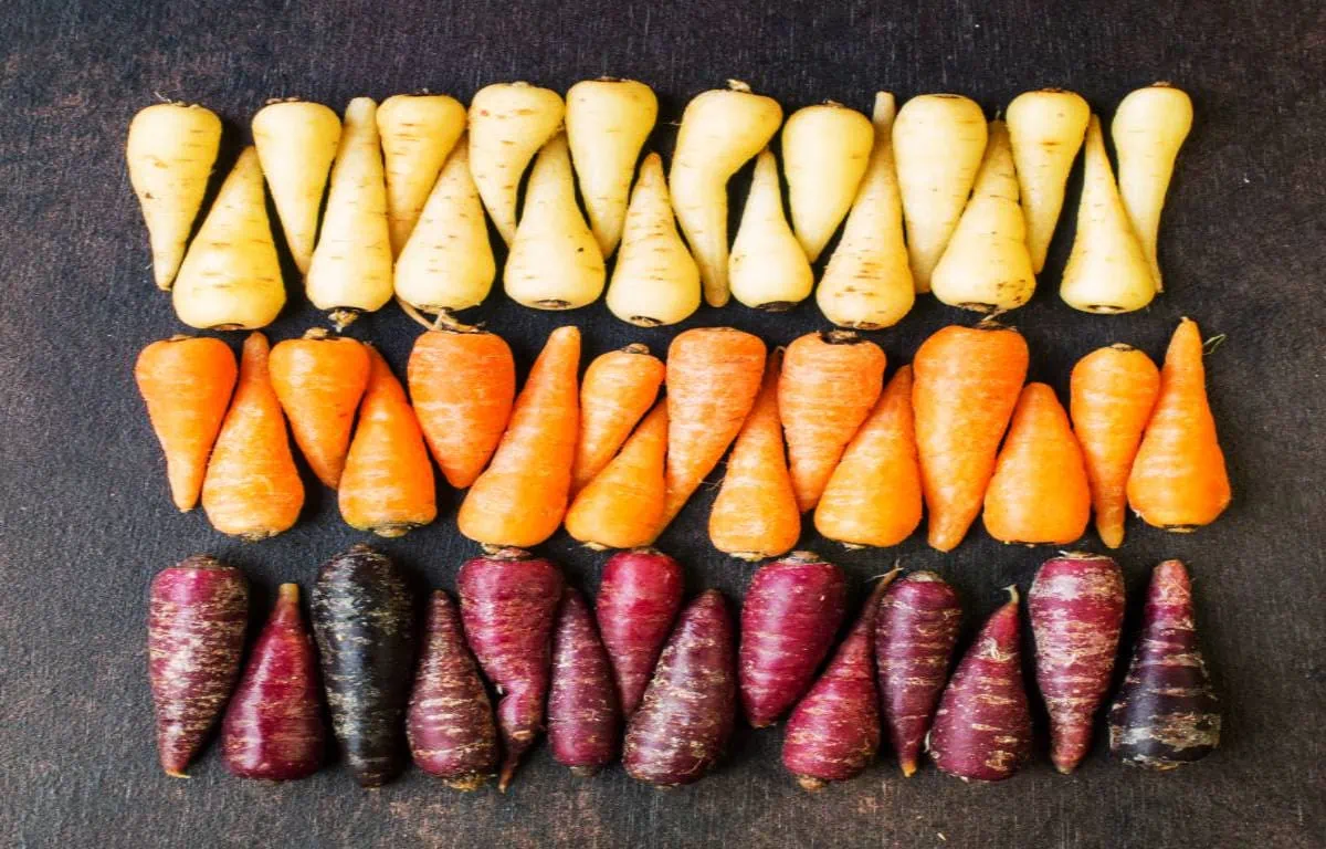 45 Types of Carrots | A-to-Z | Photos - Butter N Thyme