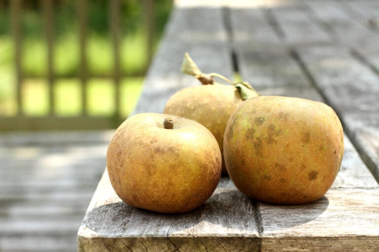 Types Of Sour Green Apples 🍏 A-to-Z | Photos - Butter N Thyme
