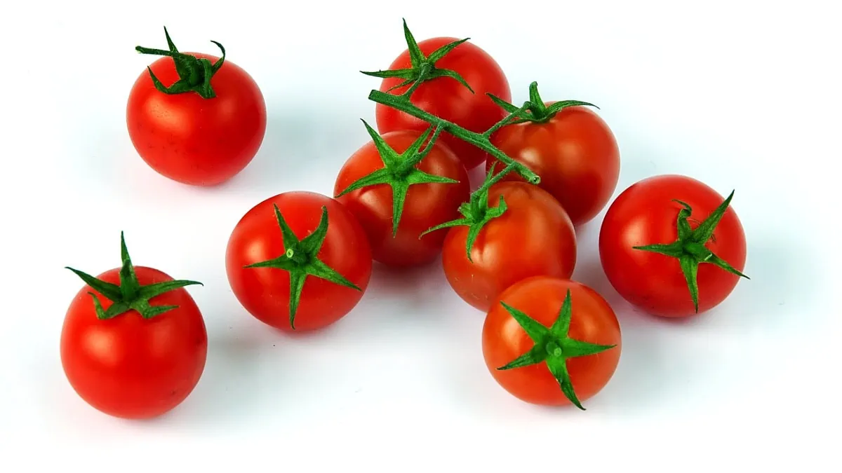 5 Best Tomatoes For Salsa 🍅 - Butter N Thyme