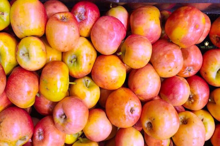 80 Types of Apples | A-to-Z | Photos - Butter N Thyme