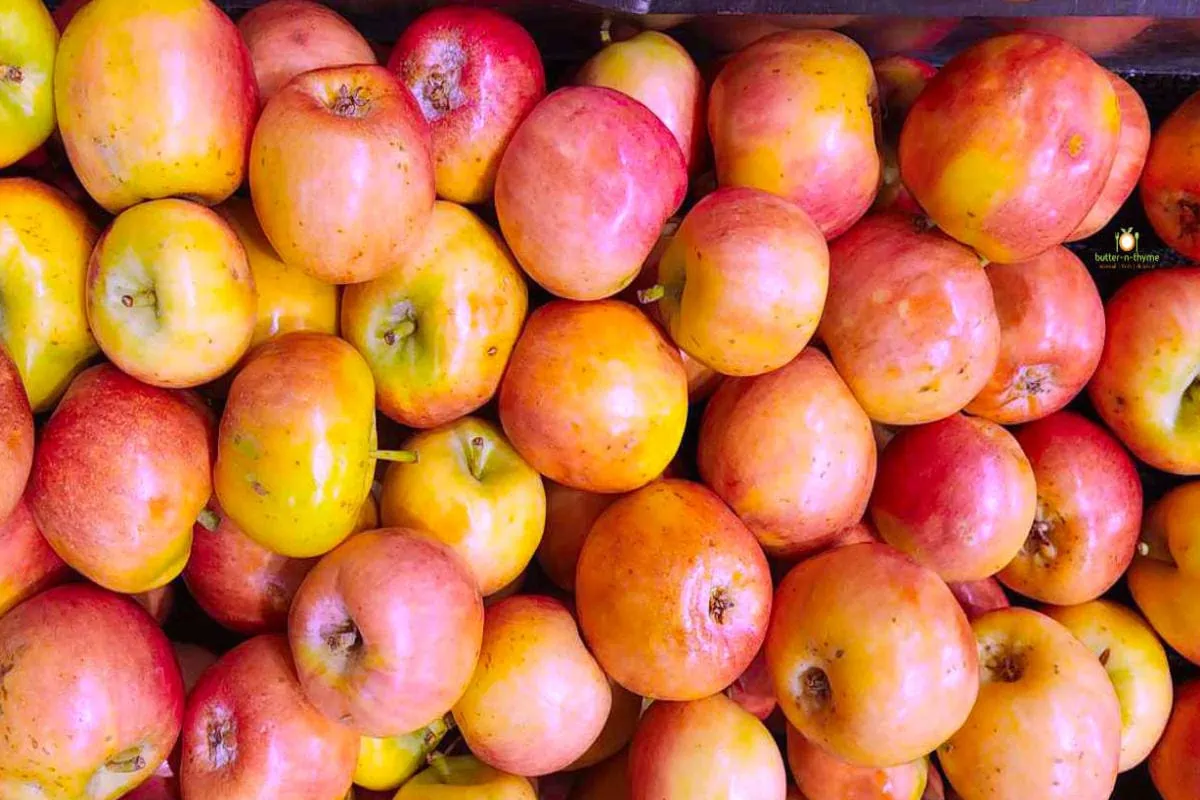 80 Types of Apples | A-to-Z | Photos - Butter N Thyme