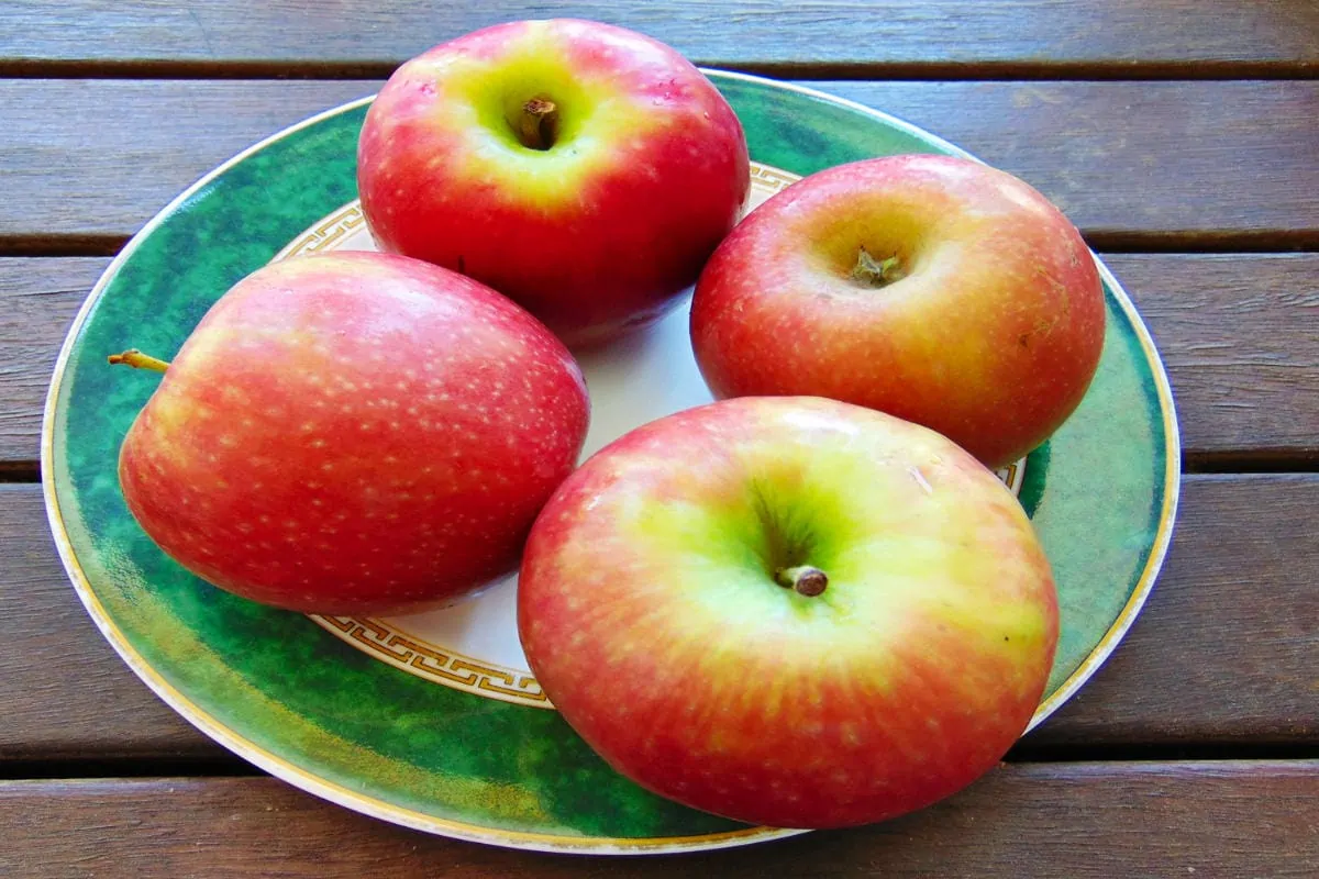 80 Types of Apples | A-to-Z | Photos - Butter N Thyme