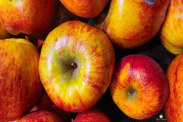 80 Types of Apples | A-to-Z | Photos - Butter N Thyme