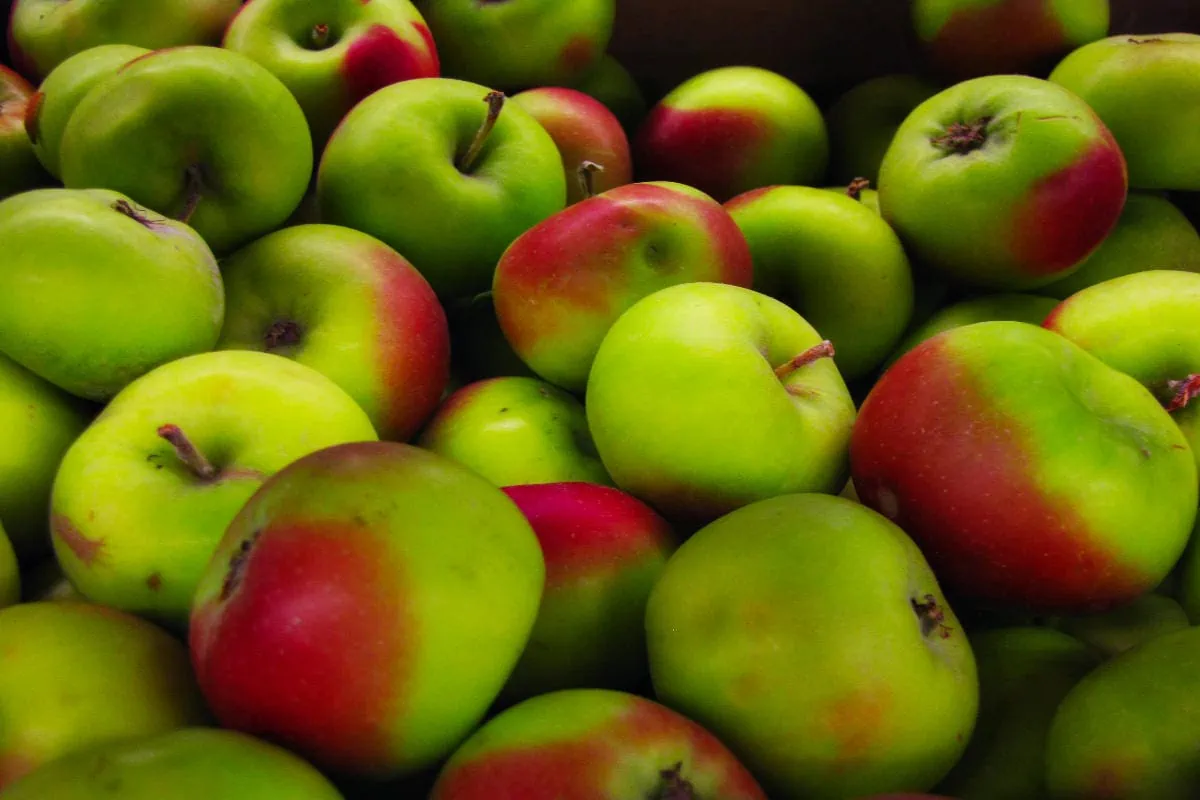 Types Of Sour Green Apples 🍏 A-to-Z | Photos - Butter N Thyme