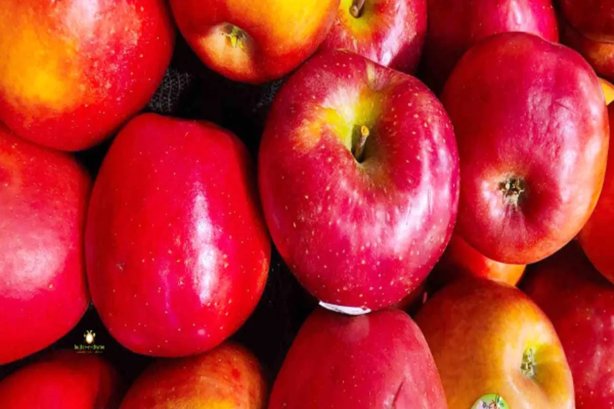 80 Types of Apples | A-to-Z | Photos - Butter N Thyme