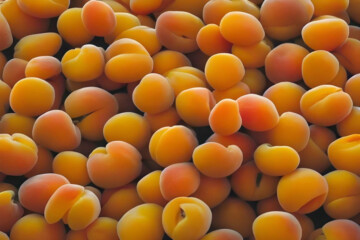 Types of Spring Fruits and Vegetables - Butter N Thyme