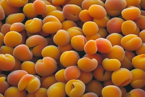 Types of Spring Fruits and Vegetables - Butter N Thyme