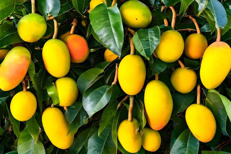 Types of Spring Fruits and Vegetables - Butter N Thyme