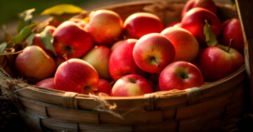 47 Types of Apples | A-to-Z | Defined | Photos - Butter N Thyme