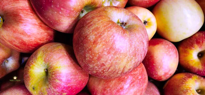 27 Types of Sweetest Apples 🍎 A-to-Z | Photos - Butter N Thyme