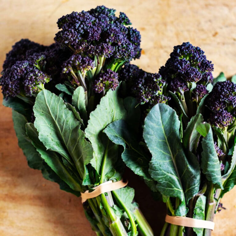 40 Types of Broccoli: 🥦(A-to-Z) Photos - Butter N Thyme