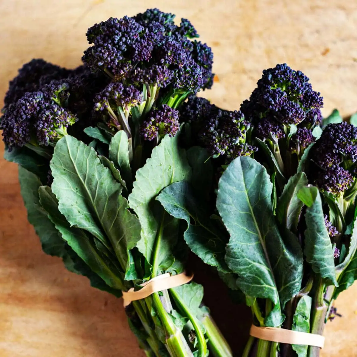 40 Types of Broccoli 🥦 A-to-Z | Photos - Butter N Thyme