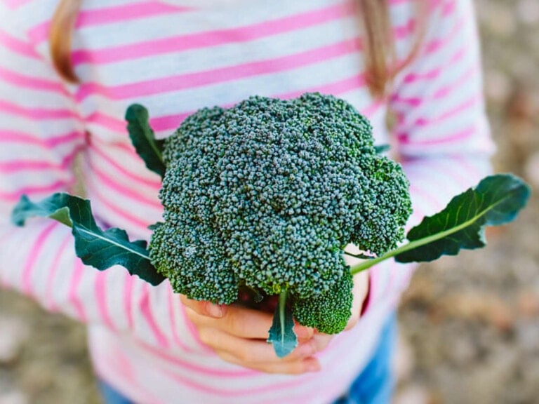 40 Types of Broccoli: 🥦(A-to-Z) Photos - Butter N Thyme