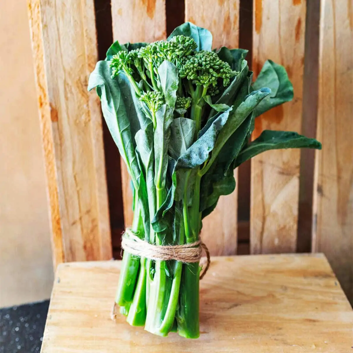 40 Types of Broccoli 🥦 A-to-Z | Photos - Butter N Thyme