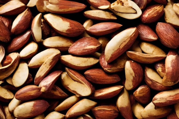 23 Types of Nuts 🌰 A-to-Z | Photos - Butter N Thyme