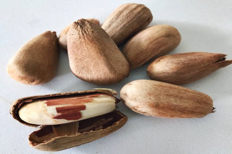 23 Types of Nuts 🌰 A-to-Z | Photos - Butter N Thyme