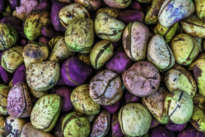 23 Types of Nuts 🌰 A-to-Z | Photos - Butter N Thyme