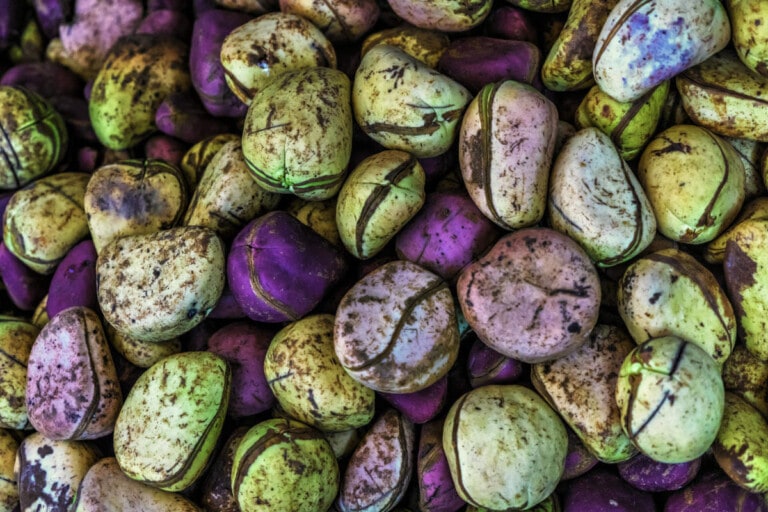 23 Types of Nuts 🌰 A-to-Z | Photos - Butter N Thyme