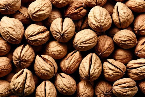 23 Types of Nuts 🌰 A-to-Z | Photos - Butter N Thyme