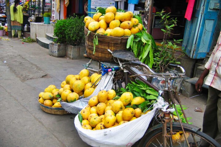 45 Types Of Mangoes 🥭 A To Z | Photos | Defined - Butter N Thyme