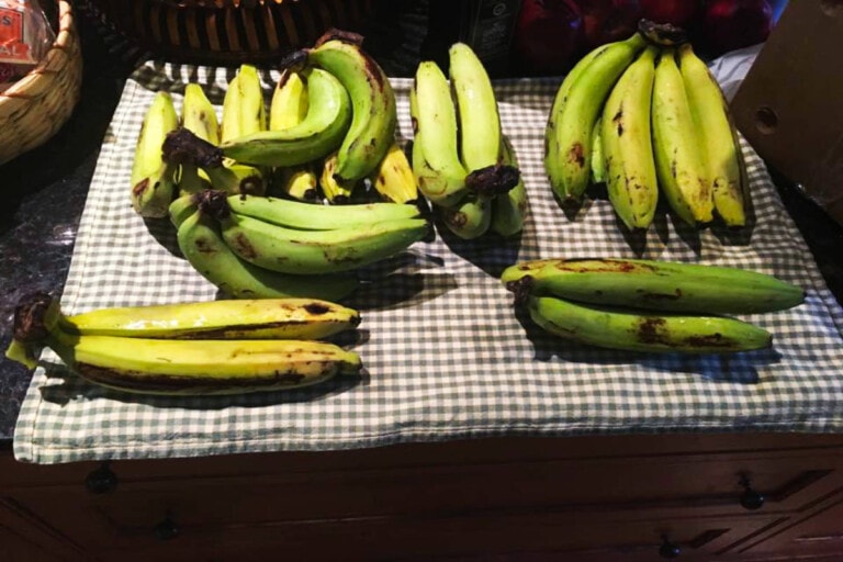 27 Types of Bananas 🍌 A to Z | Photos - Butter N Thyme