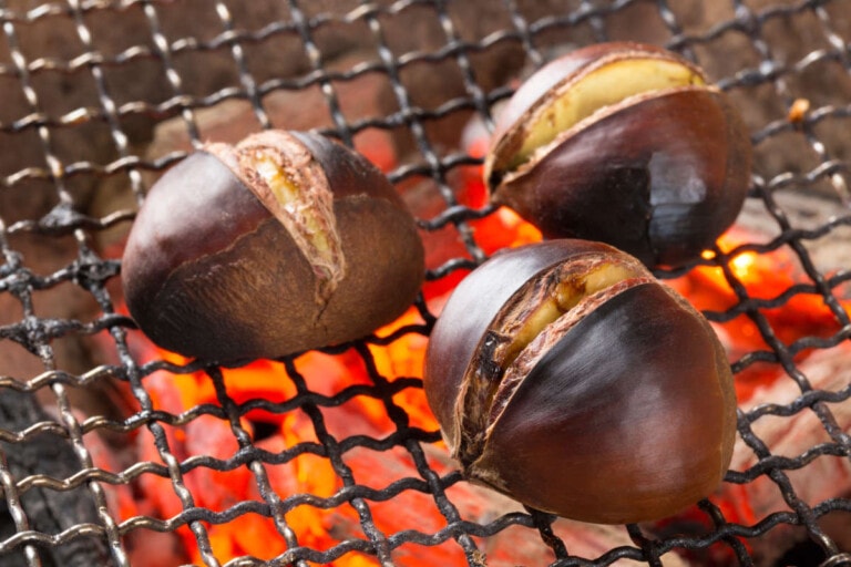 What Are Chestnuts 🌰 What You Need To Know - Butter N Thyme