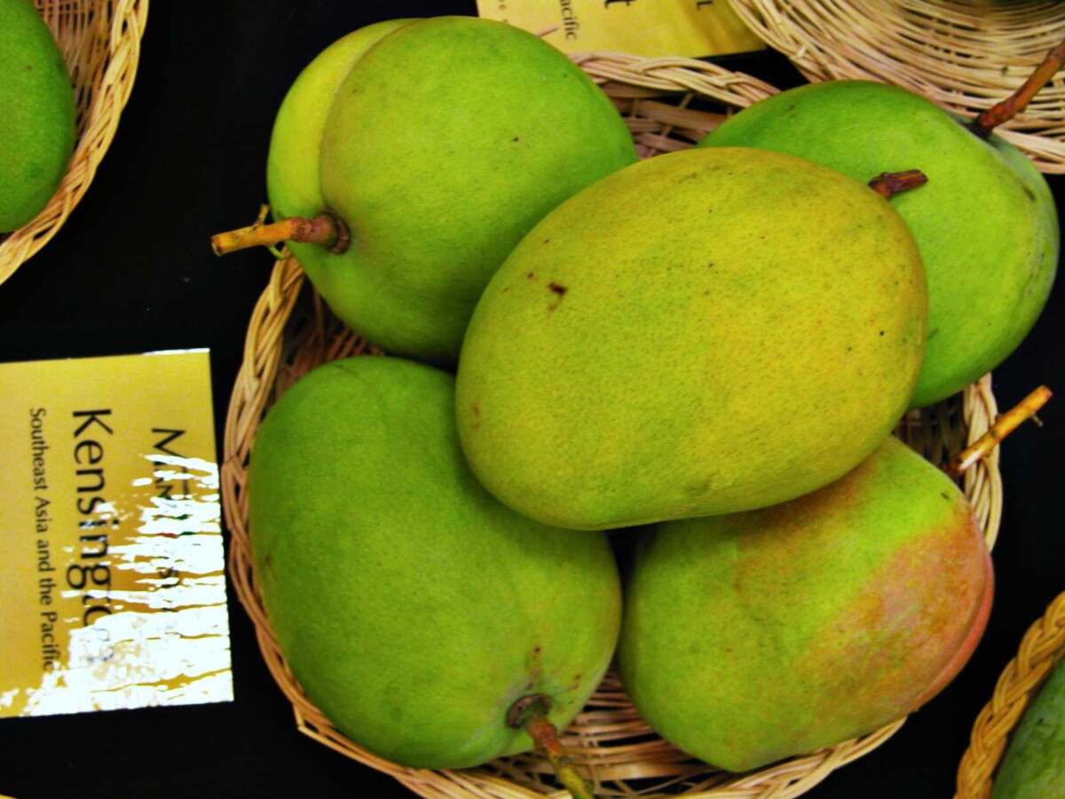 49 Types of Mangoes: 🥭 (A to Z) Photos