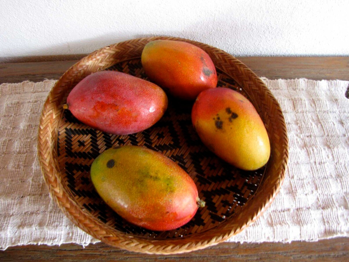 49 Types of Mangoes: 🥭 (A to Z) Photos