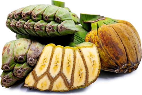 27 Types of Bananas 🍌 A to Z | Photos - Butter N Thyme