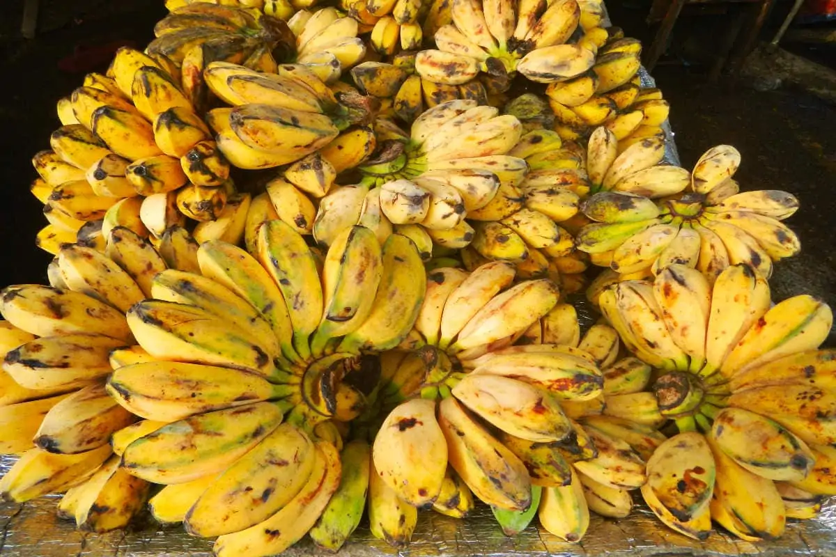 27 Types of Bananas 🍌 A to Z | Photos - Butter N Thyme