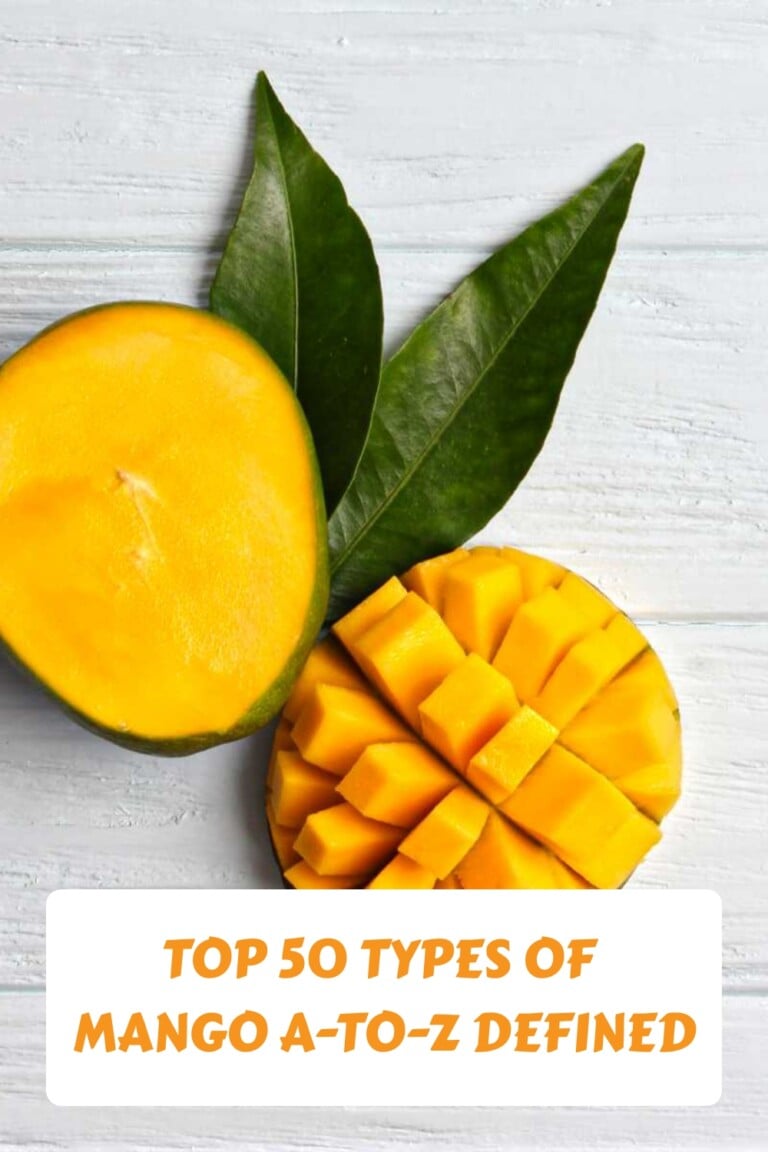 49 Types of Mangoes: 🥭 (A to Z) Photos