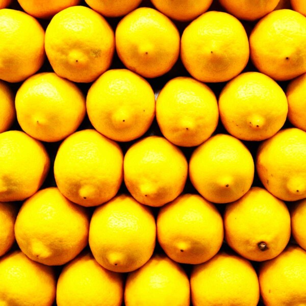 10 Different Types Of Yeast | Uses | Defined - Butter N Thyme