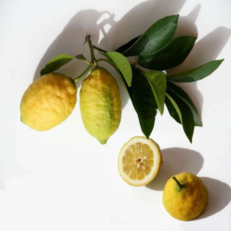 36 Types of Lemons 🍋 A-to-Z | Photos - Butter N Thyme