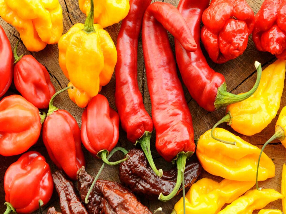 Cooking with Peppers: 6 Techniques You Need to Know - Butter N Thyme