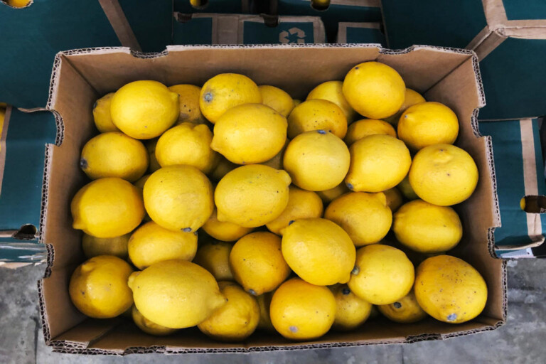 36 Types of Lemons 🍋 A-to-Z | Photos - Butter N Thyme