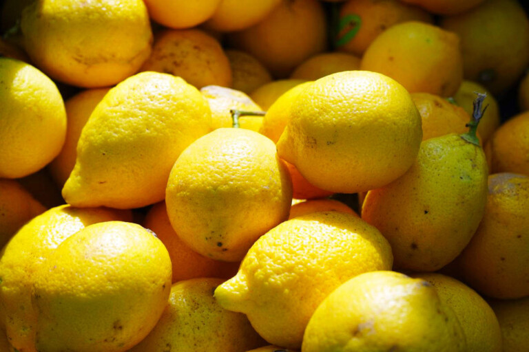 36 Types of Lemons 🍋 A-to-Z | Photos - Butter N Thyme
