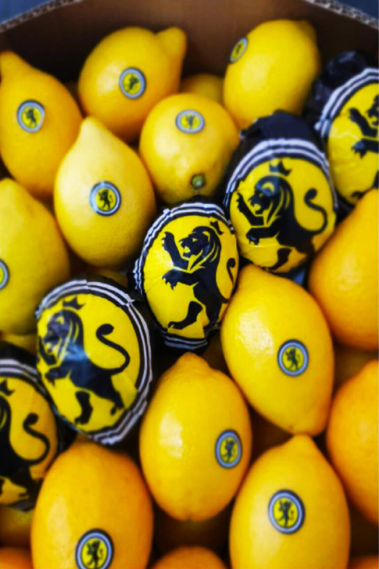 36 Types of Lemons 🍋 A-to-Z | Photos - Butter N Thyme