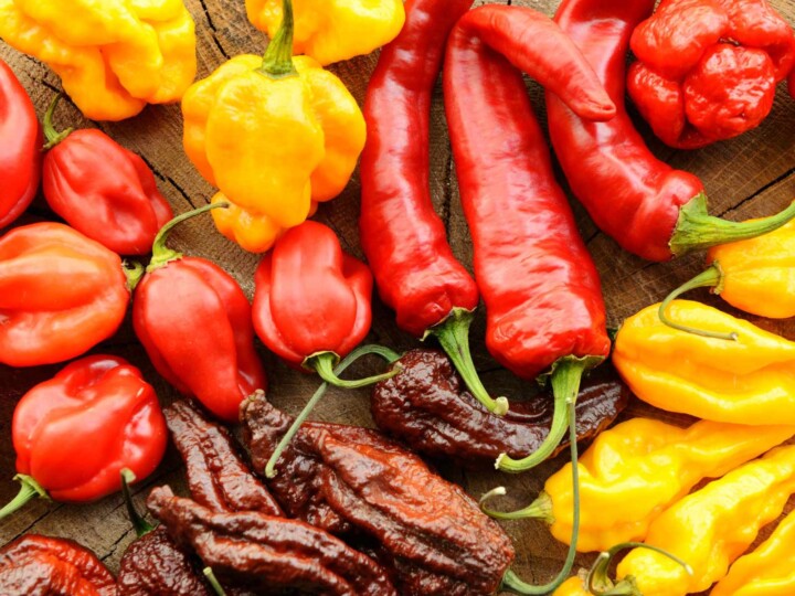 Cooking with Peppers: 6 Techniques You Need to Know - Butter N Thyme