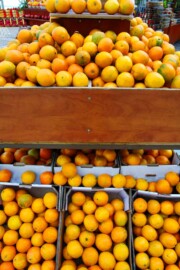 47 Types Of Oranges 🍊 A-to-Z | Defined | Photos - Butter N Thyme