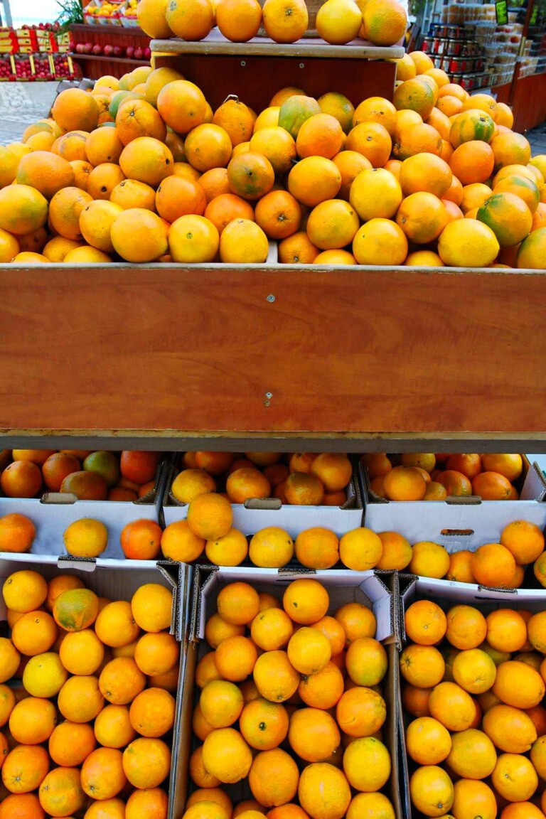 47 Types of Oranges 🍊 A-to-Z (Photos+) - Butter N Thyme