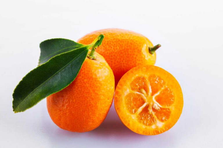 47 Types of Oranges 🍊 A-to-Z | Defined | Photos - Butter N Thyme