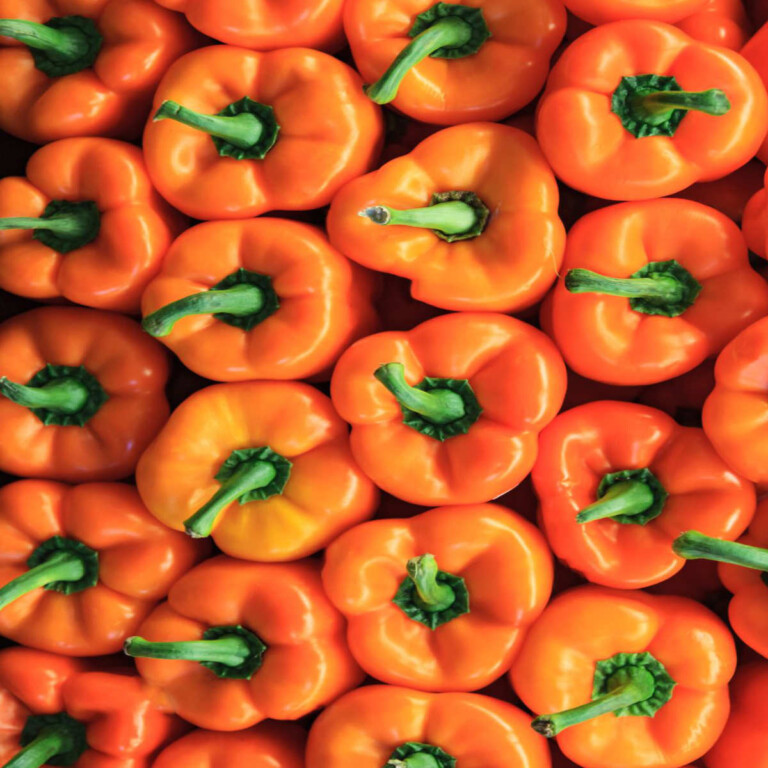 Habanero Peppers🌶️ Uses, Facts, Recipes - Butter N Thyme