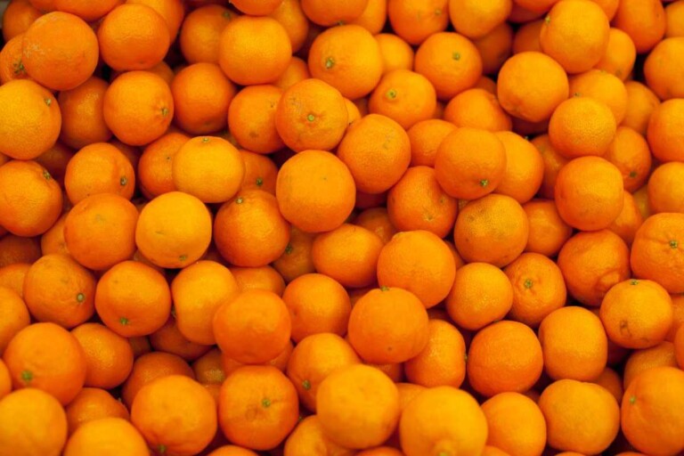 47 Types of Oranges 🍊 A-to-Z | Defined | Photos - Butter N Thyme